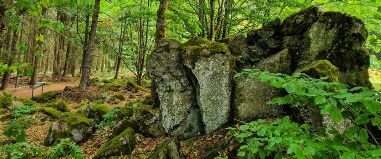 Die Wasserkuppe: Dein Urlaubsberg mitten in Deutschland!