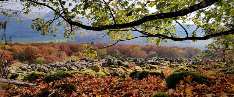 Die Wasserkuppe: Dein Urlaubsberg mitten in Deutschland!