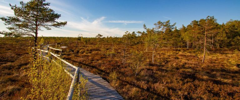Rotes Moor - wasserkuppe.net